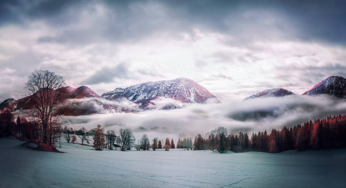Capturing the Unseen: 10 Best Infrared Photographers Revealed