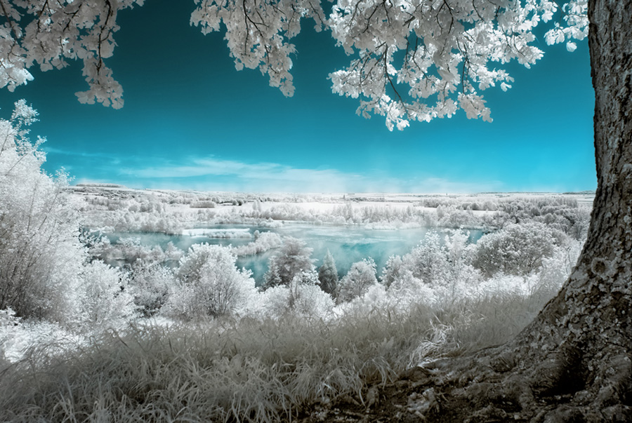 Capturing the Unseen: 10 Best Infrared Photographers Revealed