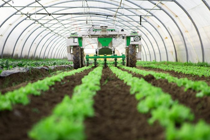 Leveraging Artificial Intelligence to Control Agriculture Robotics ... Leveraging Artificial Intelligence to Control Agriculture Robotics ...