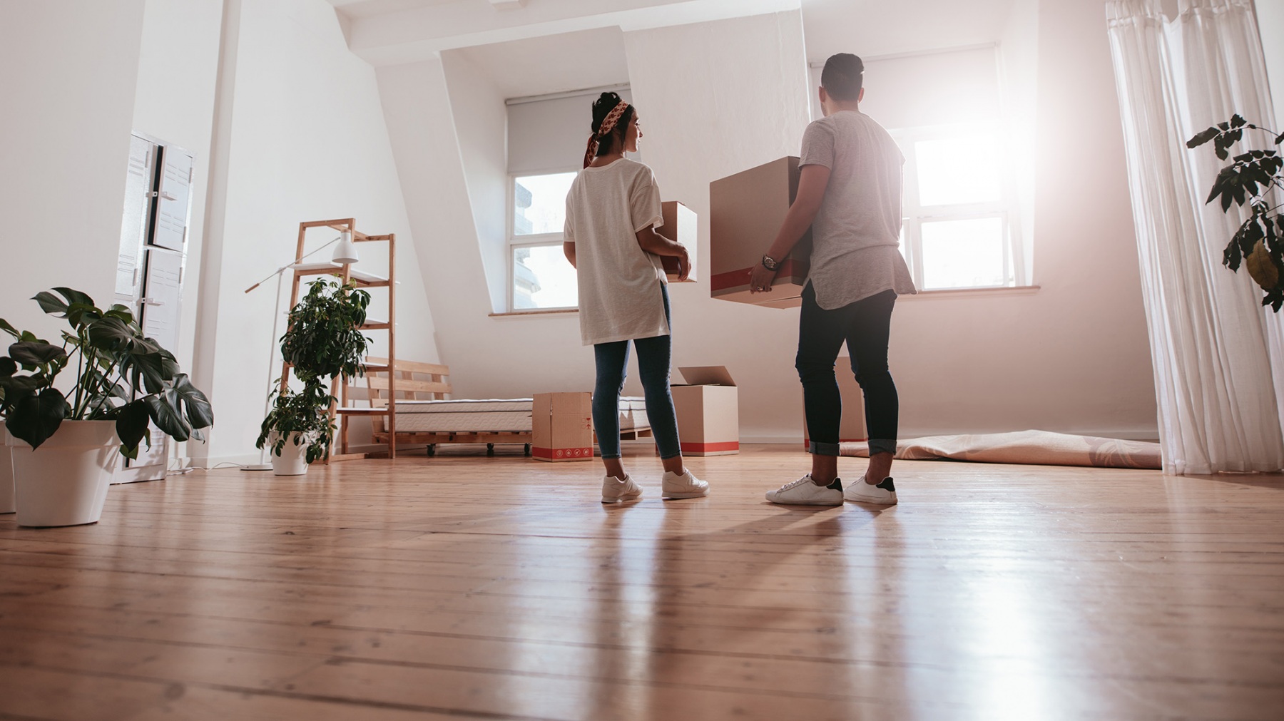 Stylish Haven: How to Decorate Your Home Professionally