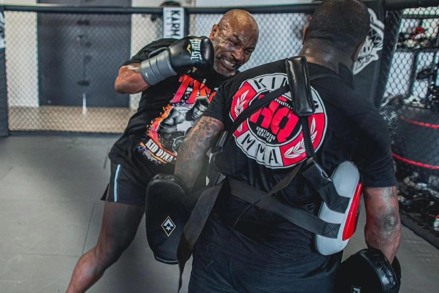 Top 10 Best MMA schools for Aspiring Champions in 2024