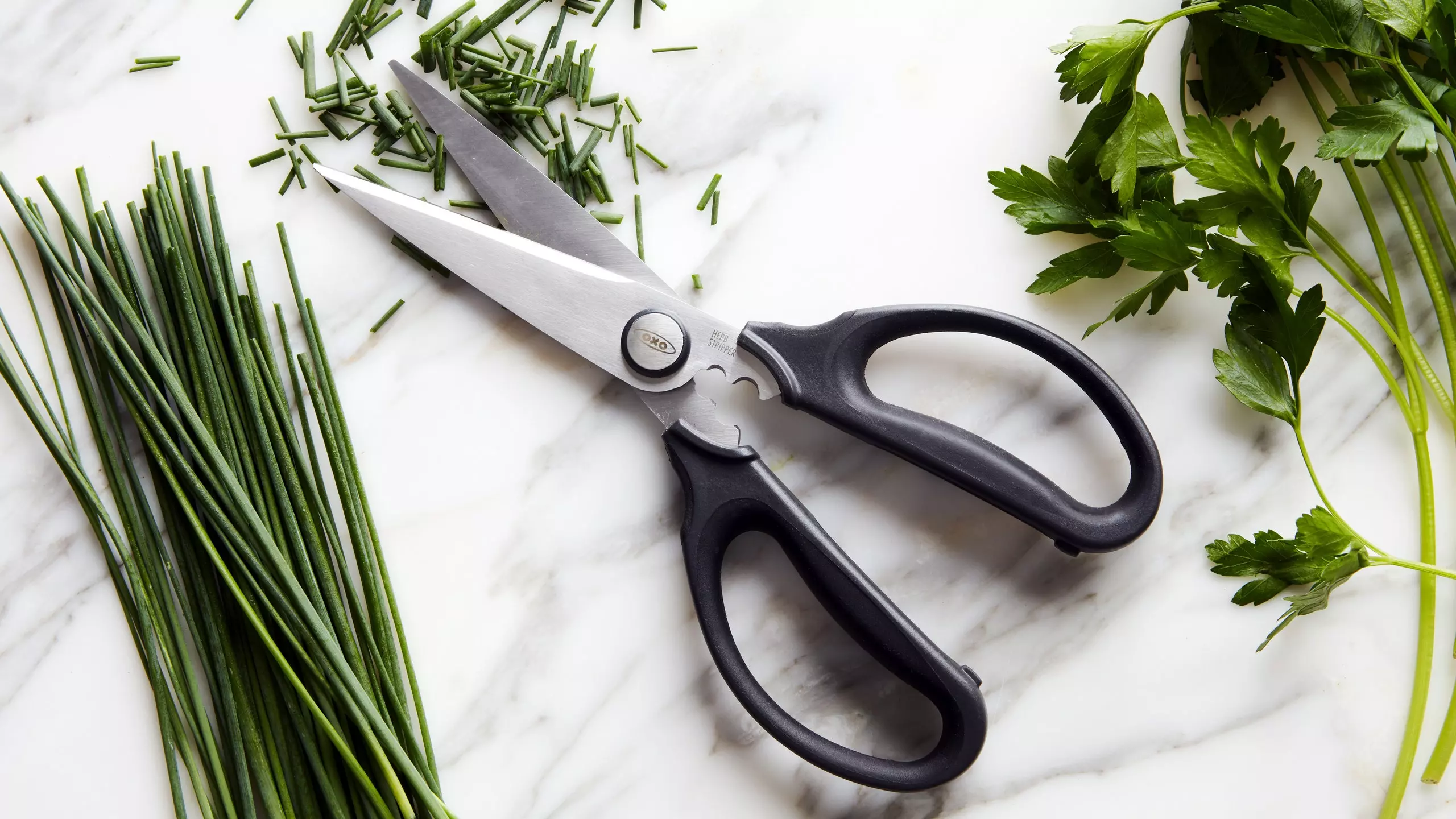 Top 12 Must-Have Essential Kitchen Tools Every Home Cook Needs