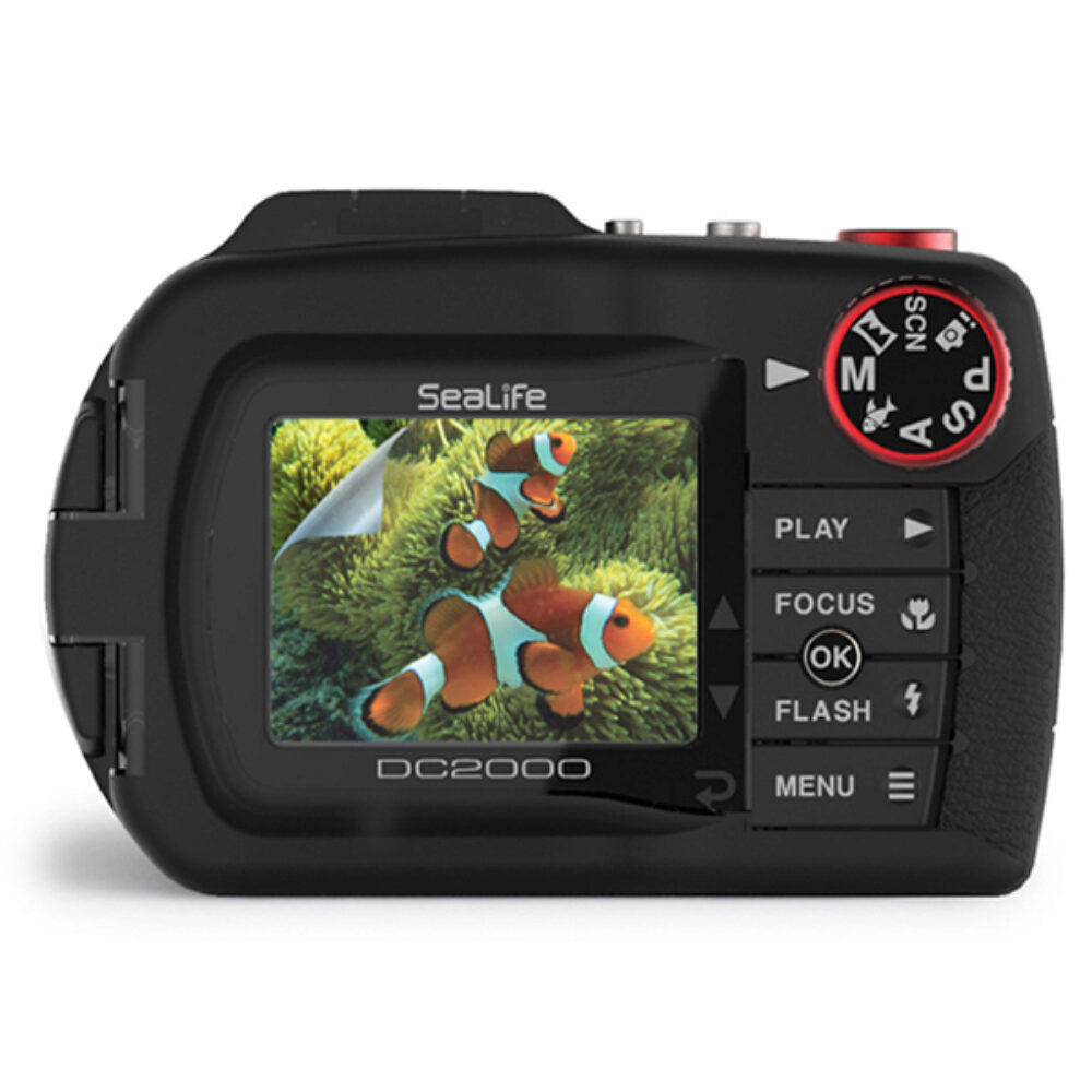 Top Best Underwater Cameras in 2025: Top Picks for Stunning Shots